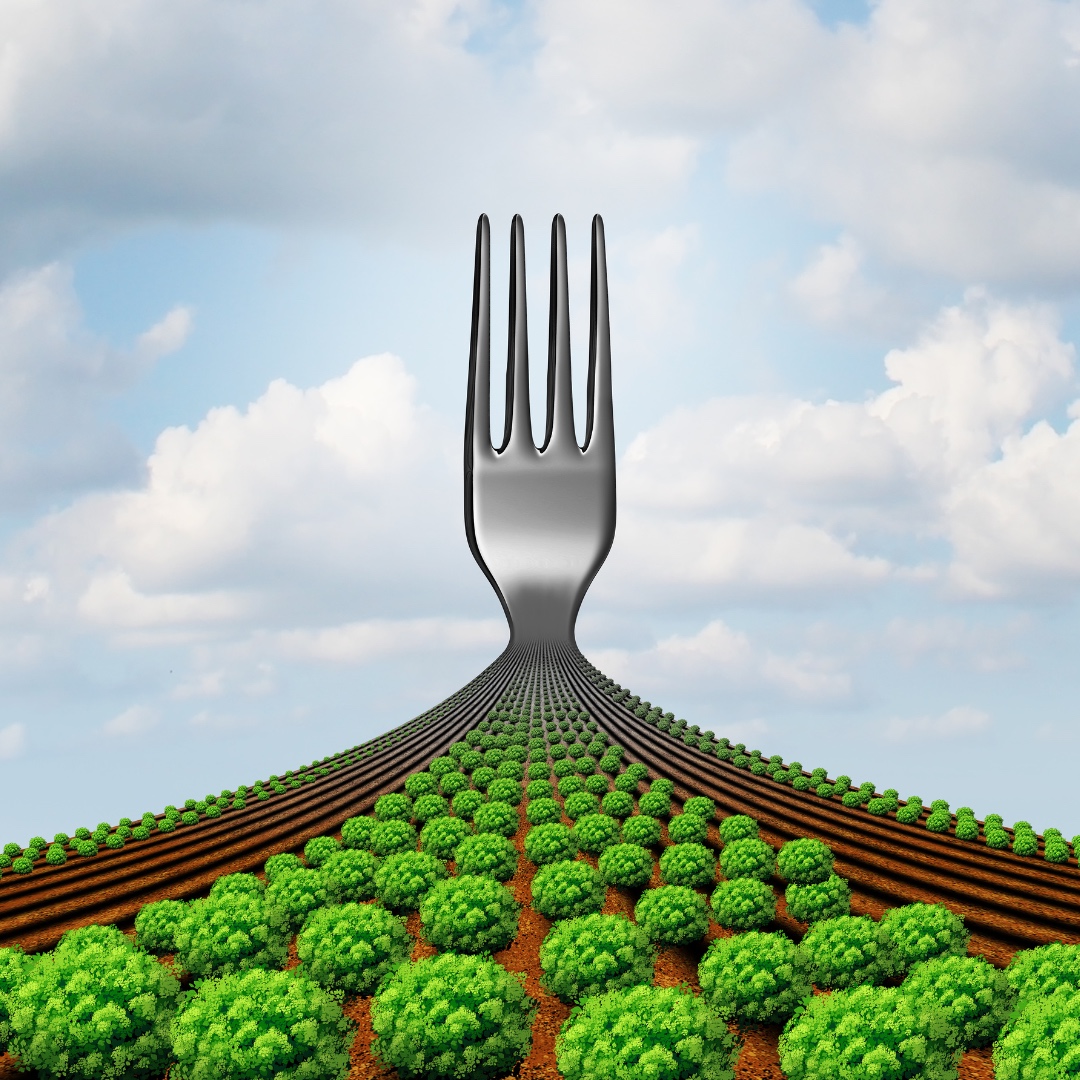 From Fresh Fields to Frustrations The Journey of Farm to Fork Part 1 MenuTrinfo